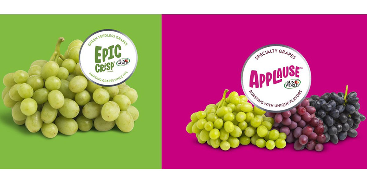 Sun World lancia due nuove varietà di uva da tavola - Italiafruit News